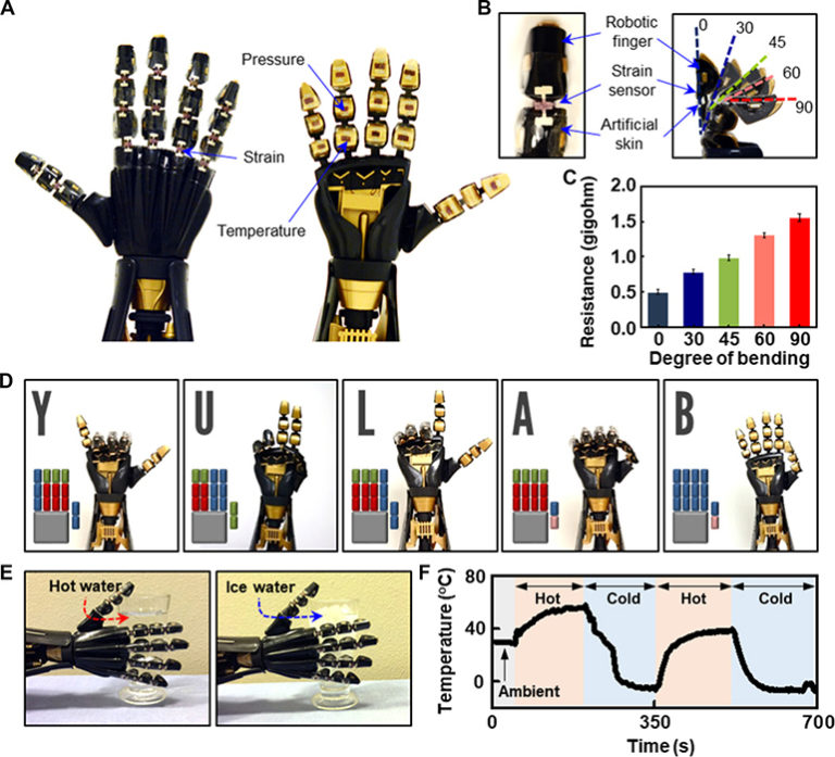 Study: artificial 'skin' could improve robot sensing - The Robot Report