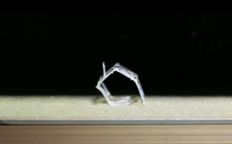 Self-folding 'Rollbot' paves way for untethered soft robots