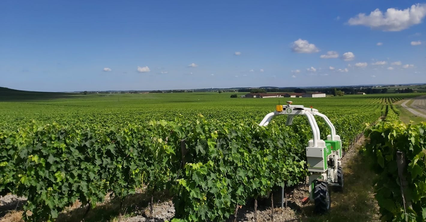 Ted weeding robot from Naio Technologies rolls out to vineyards