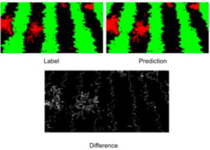 AI for agriculture: How PyTorch enables Blue River’s robots