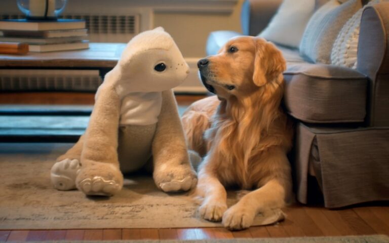 Inside Colin Angle’s bid to build companion robots with Familiar ...